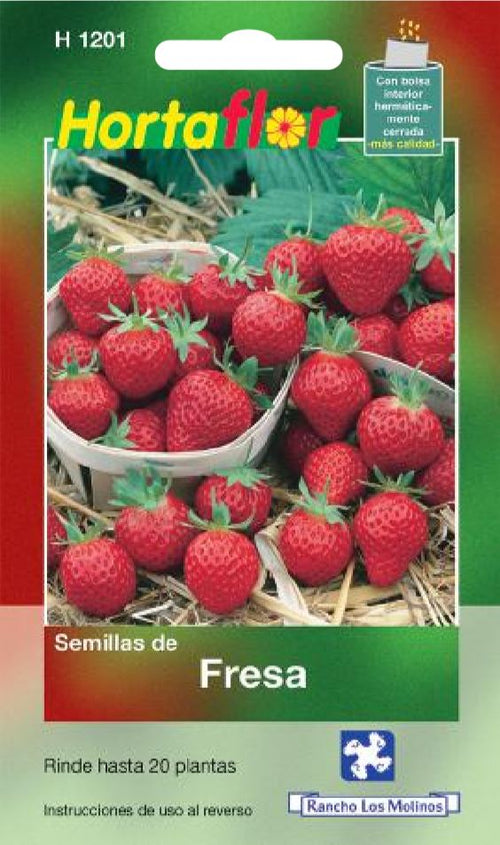 Paquetes De Semillas De Fresa Cómo Conseguir Y Germinar Semillas De